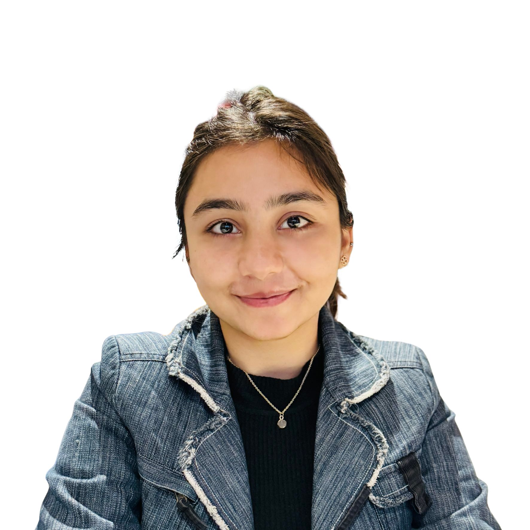 Sheetal Ahuja - Software Engineer & Data Engineering Specialist | Wayfair